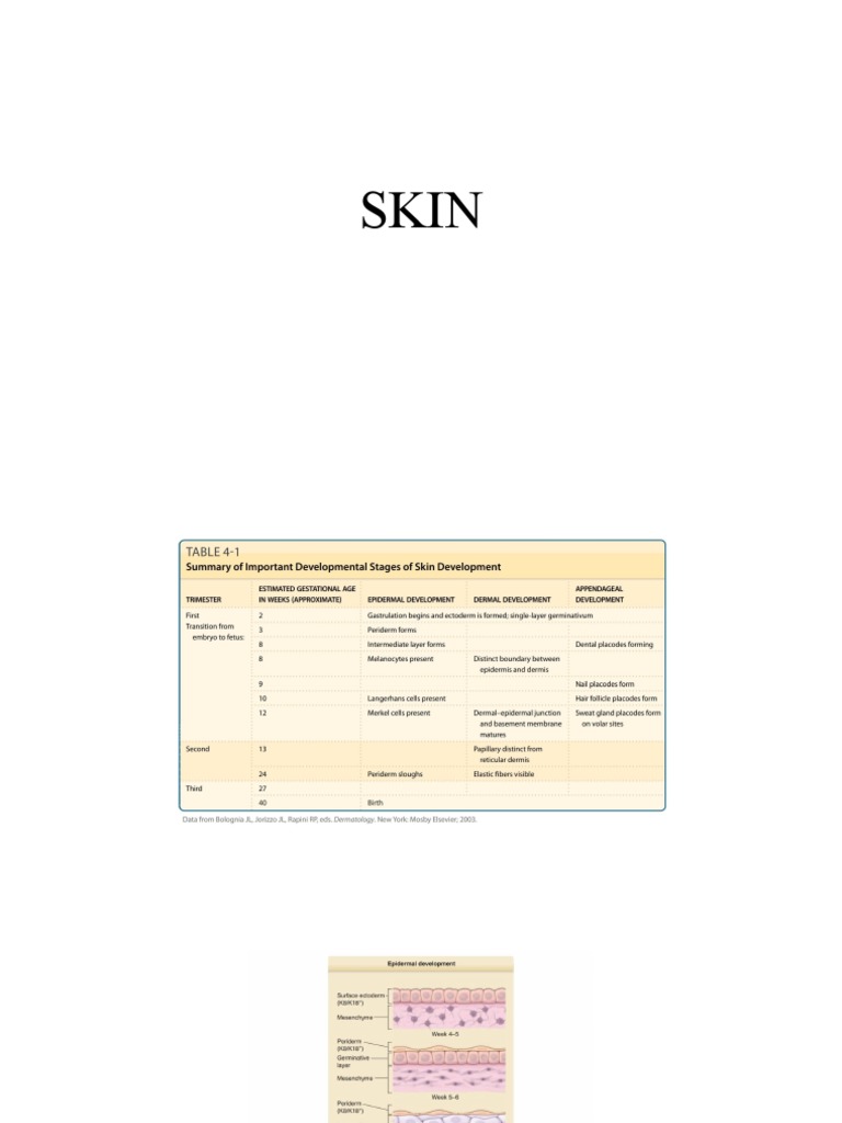 SKIN | PDF