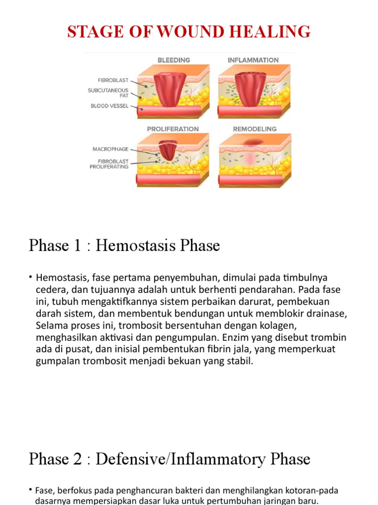 Stage Of Wound Healing Pdf