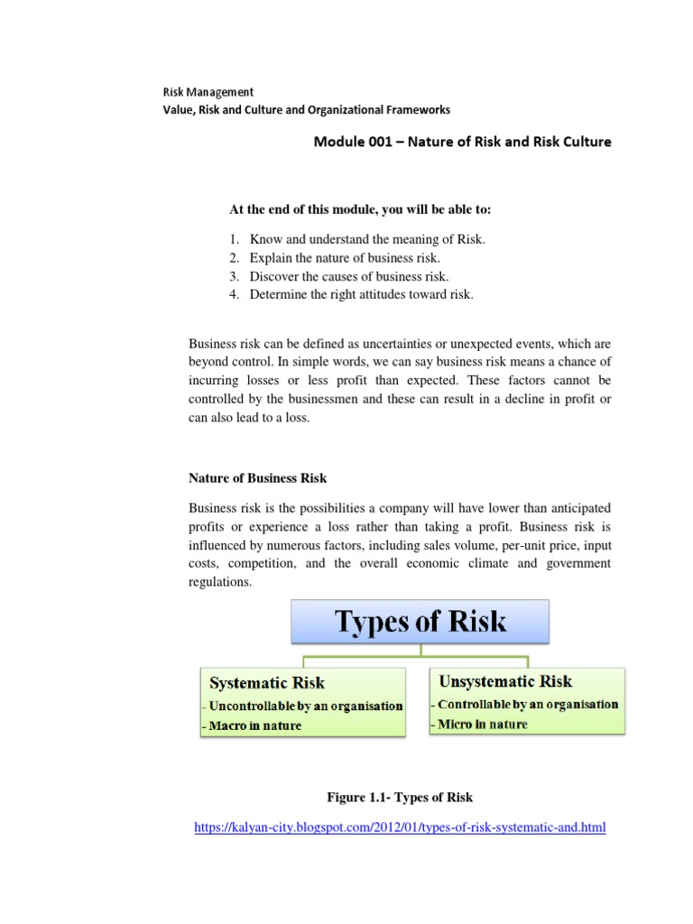 W1 Module 1 - Value, Risk and Culture and Organizational Frameworks ...