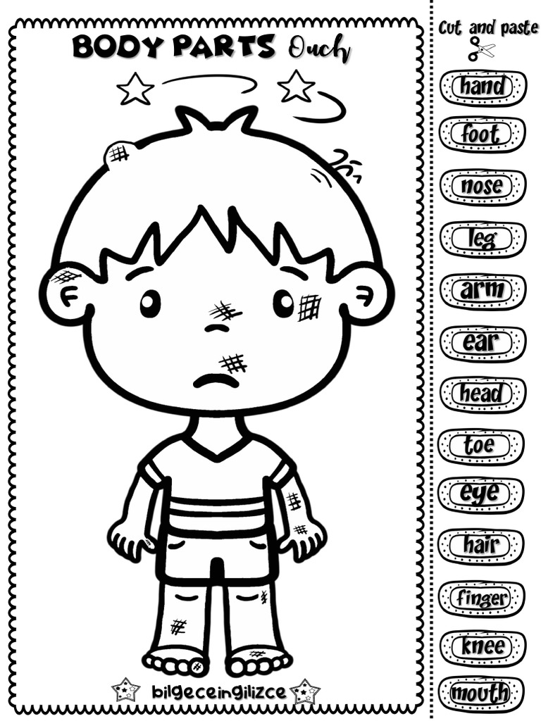 Body Parts Vocabulary List | PDF
