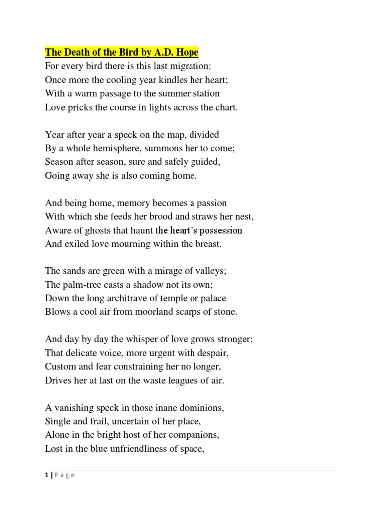 The Death of The Bird Poem - A D Hope | Download Free PDF | Bird ...