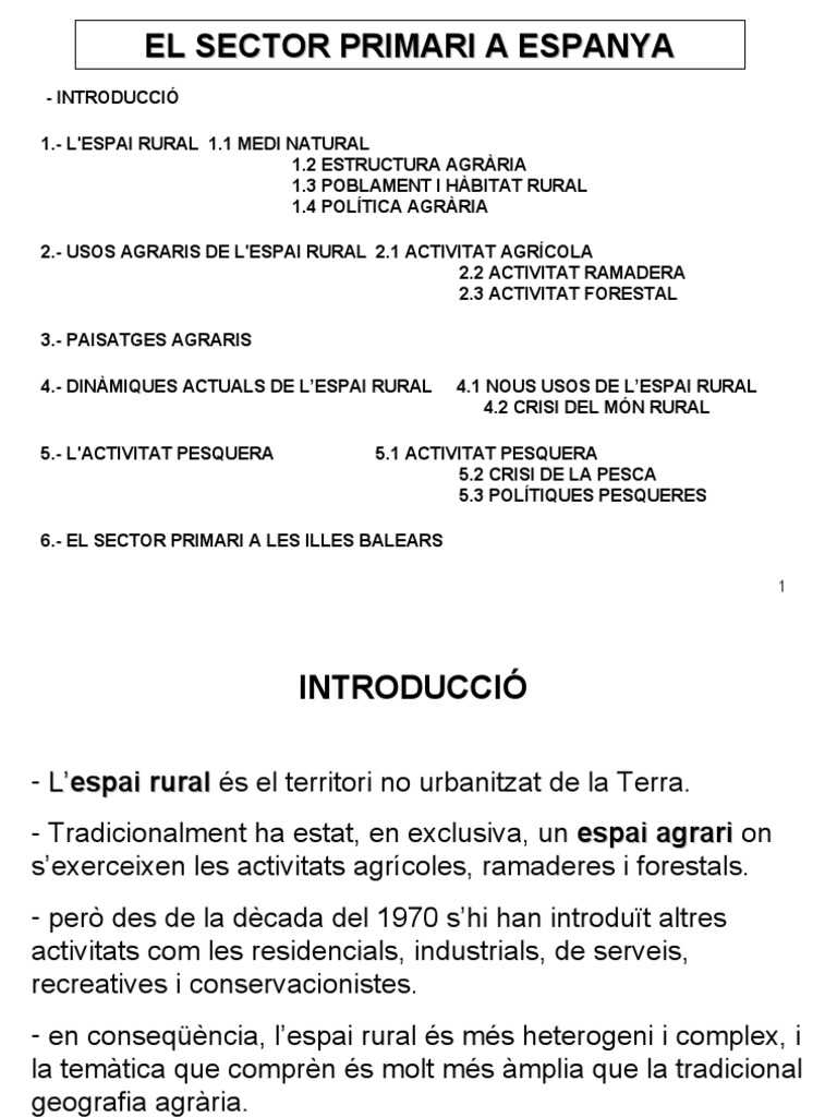 Sector Primari Espanya | PDF