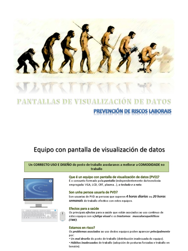 Pantallas de Visualización de Datos | PDF