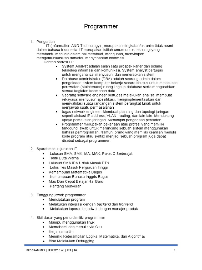Programmer Pdf