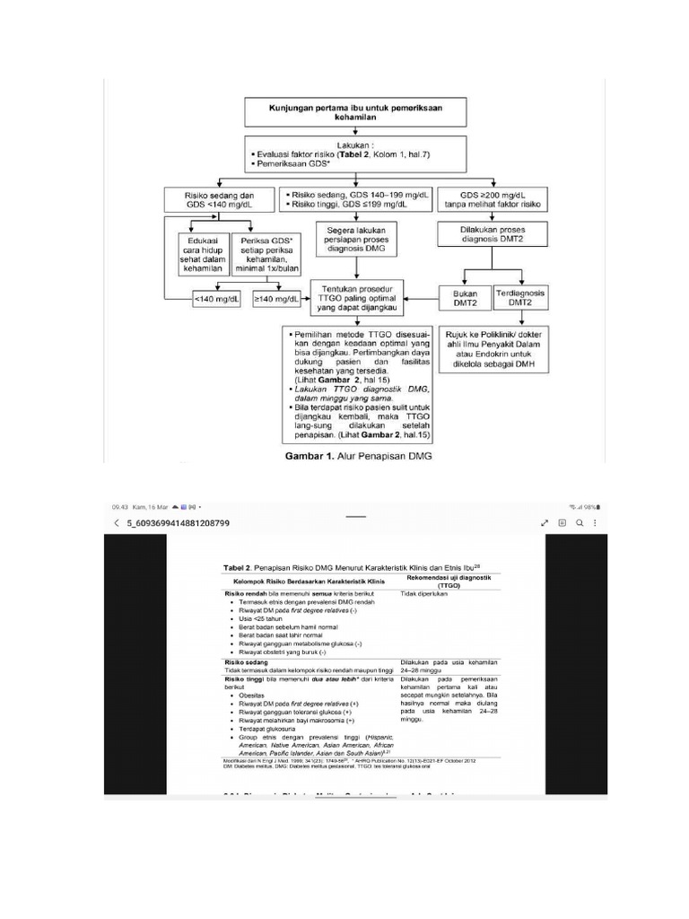 Alur Penegakan DMG | PDF