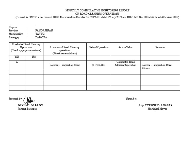 Road Clearing REPORT | PDF Road Clearing REPORT | PDF