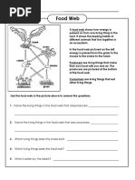 Worksheet - Parts of A Plant - Answer Key | PDF | Leaf | Plants