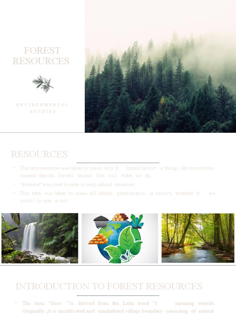 Forest Resources: Uses and Conservation | PDF | Forests | Deforestation