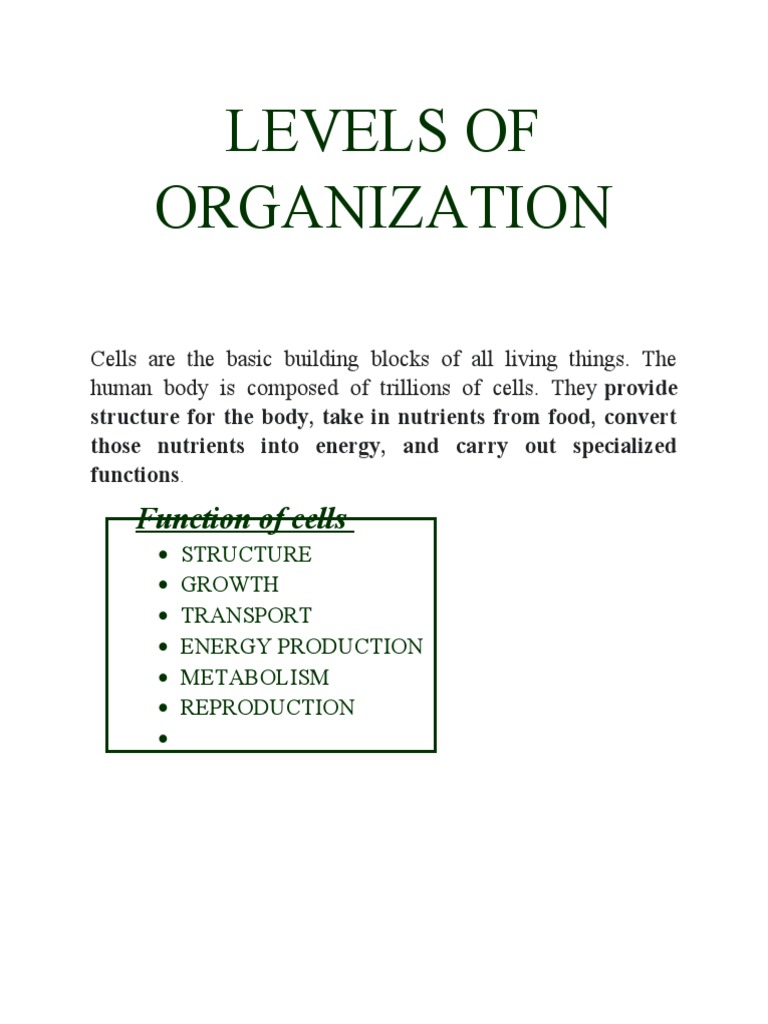 Levels Of Organization Pdf , 12 Levels of Organization of Living Things ...