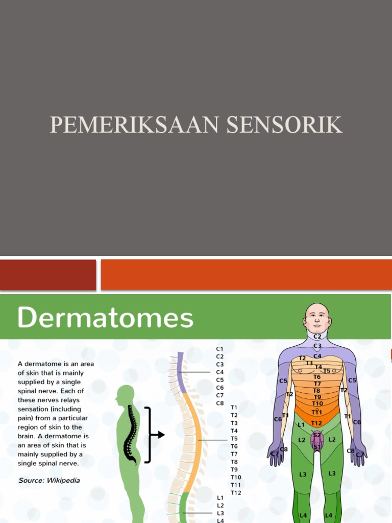 Pemeriksaan Sensorik | PDF