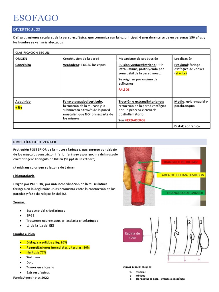 Esofago Apunte | PDF | Cáncer | Medicina