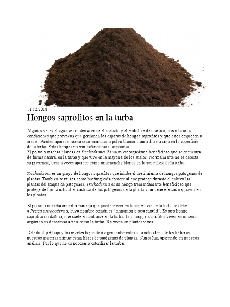Hongos Saprófitos en Turba: Beneficios y Manejo | PDF | Hongo | Turba