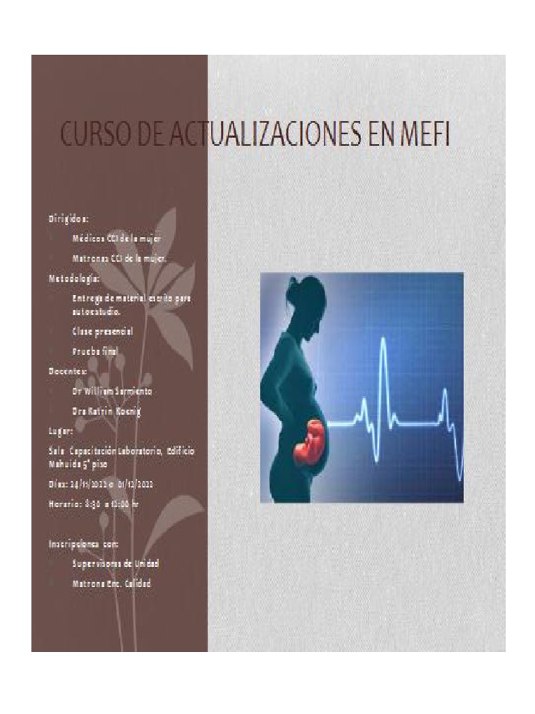 Manual Estudio MEFI PDF | PDF