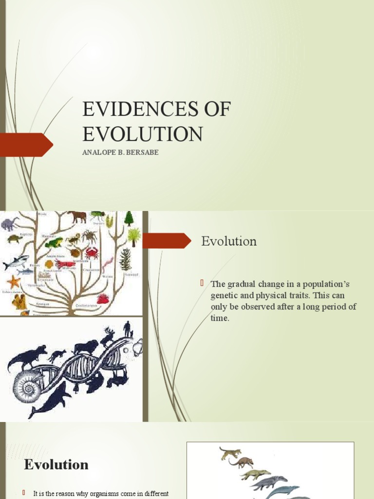 Evidence of Evolution | PDF | Evolution | Natural Selection