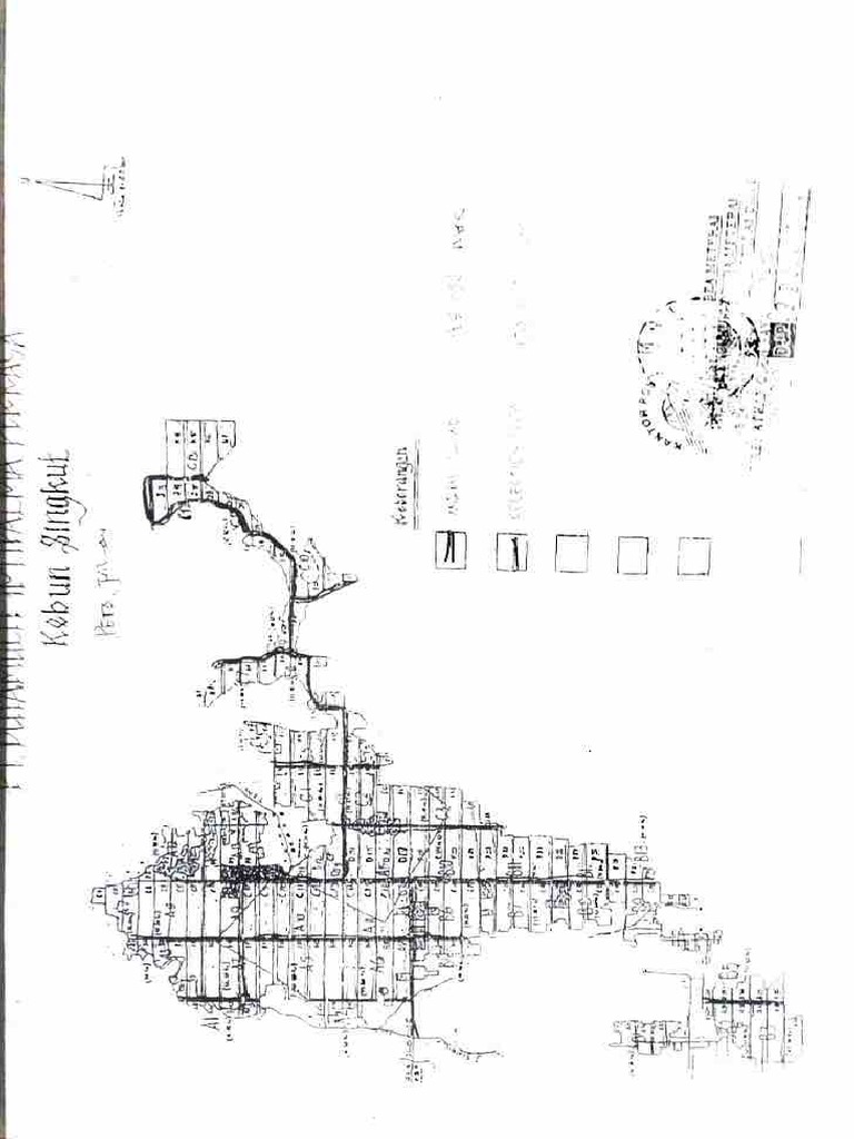 Pt Dipp Pdf