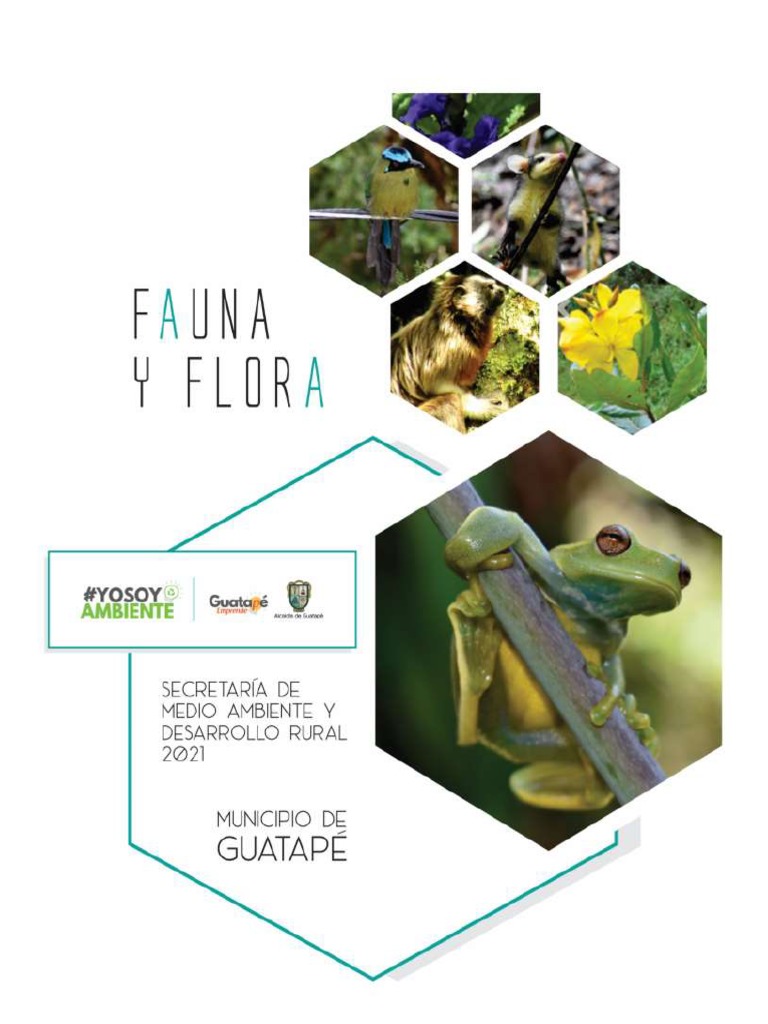 Fauna y Flora de Guatapé | PDF | Destrucción del habitát | Fauna