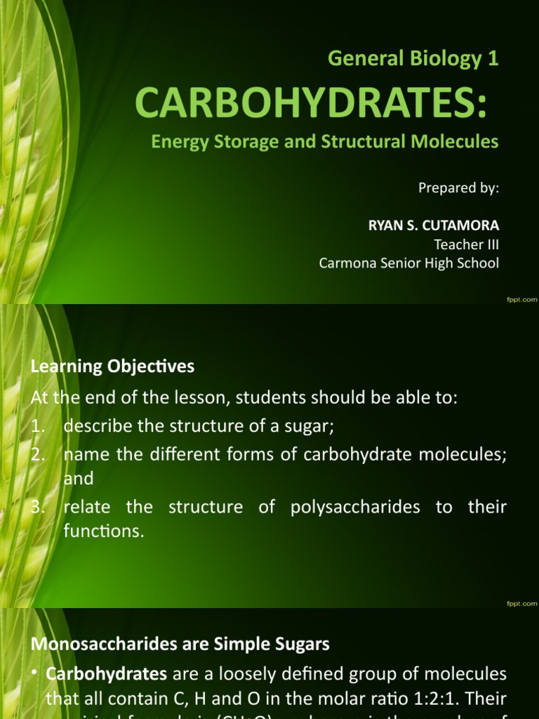 Carbohydrates: Structure and Functions | PDF | Carbohydrates ...