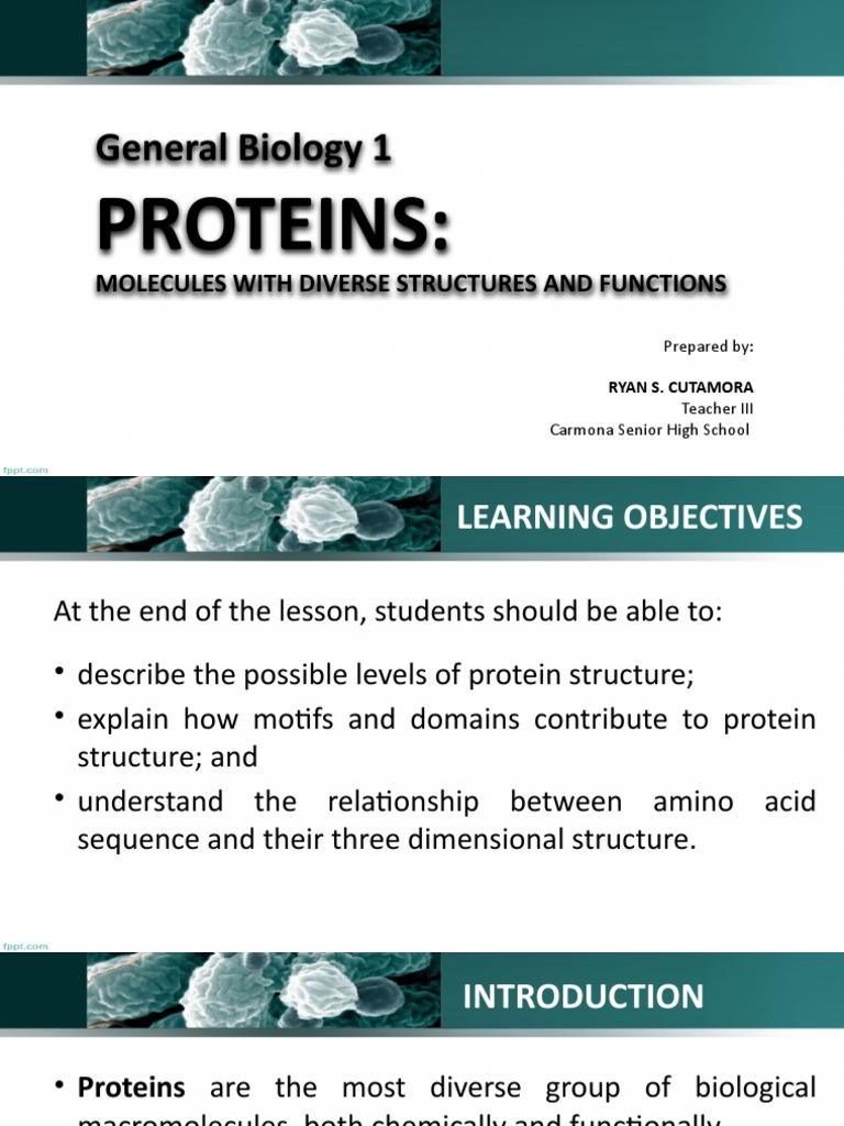 Biomolecules - Proteins | PDF | Amino Acid | Protein Structure
