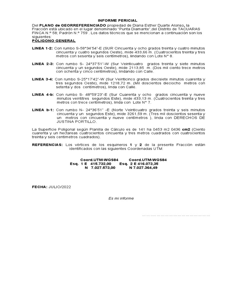 Informe Pericial 3 | PDF