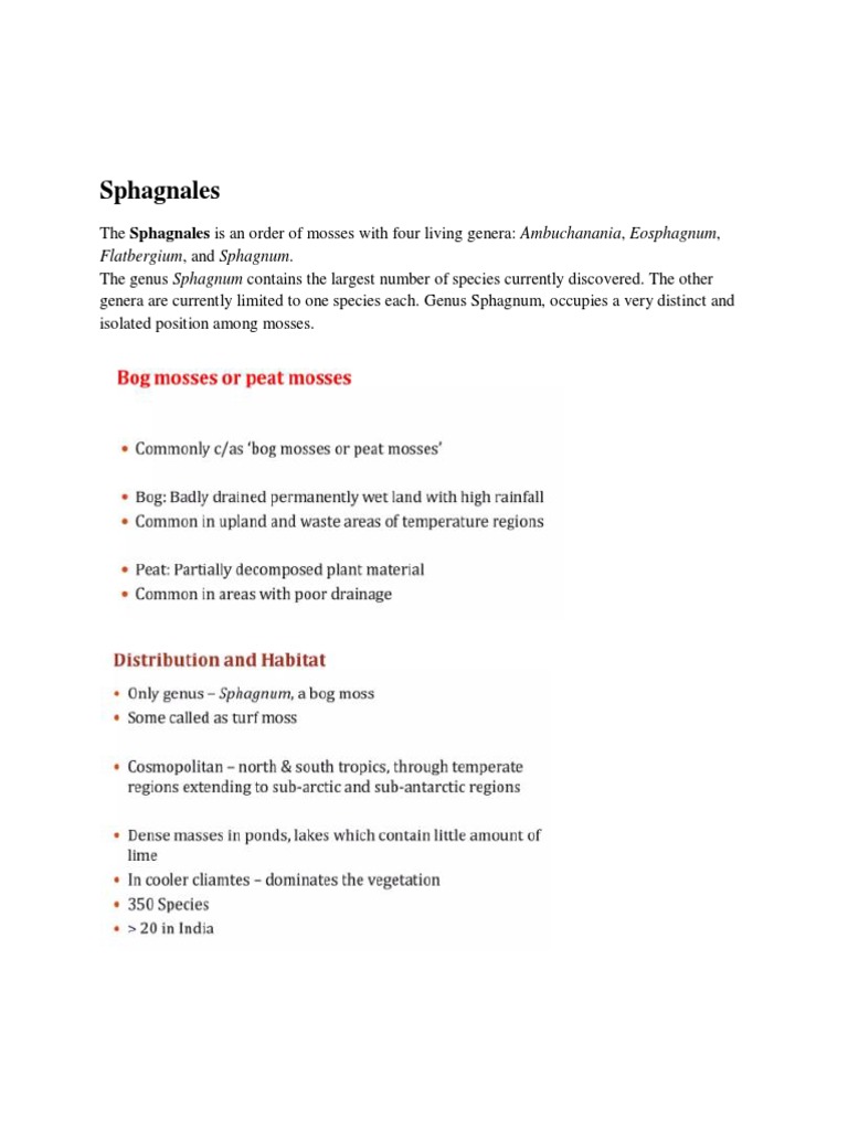Sphagnales: Flatbergium, and Sphagnum | PDF | Moss | Plants