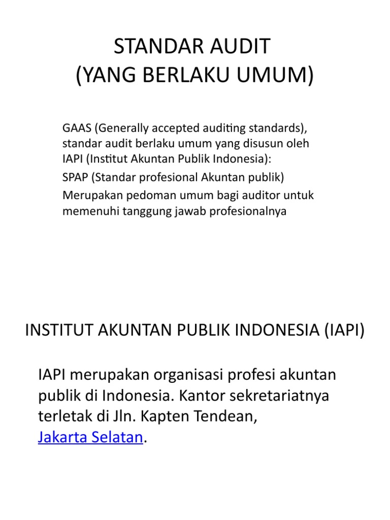 IAPI Standar Audit | PDF