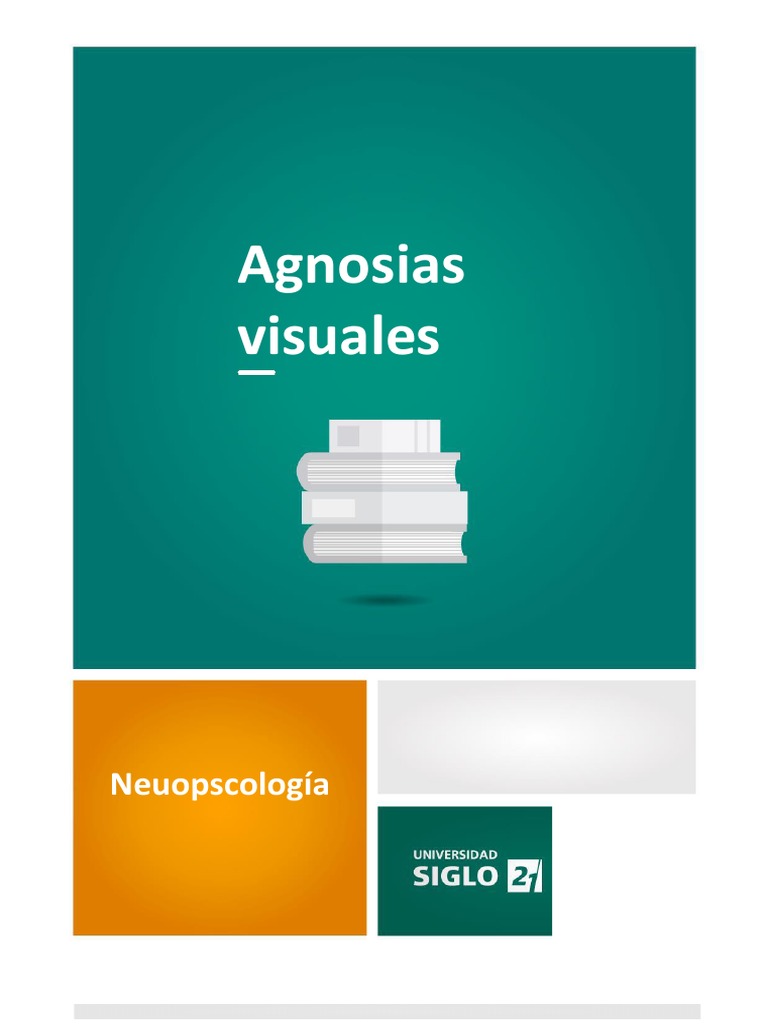 Agnosias Visuales | PDF | Cerebro | Percepción