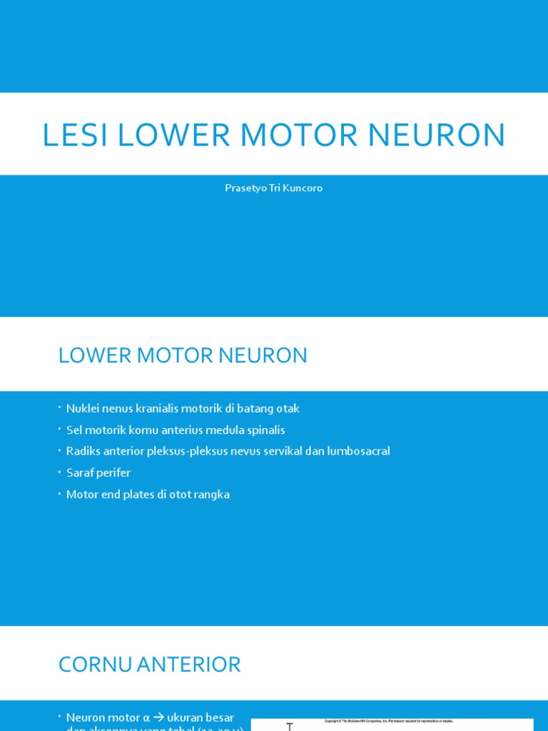 Lesi Lower Motor Neuron | PDF | Pengembangan Diri | Sains & Matematika