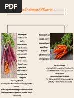 Carrot: 118 Languages | PDF | Carrot | Plants
