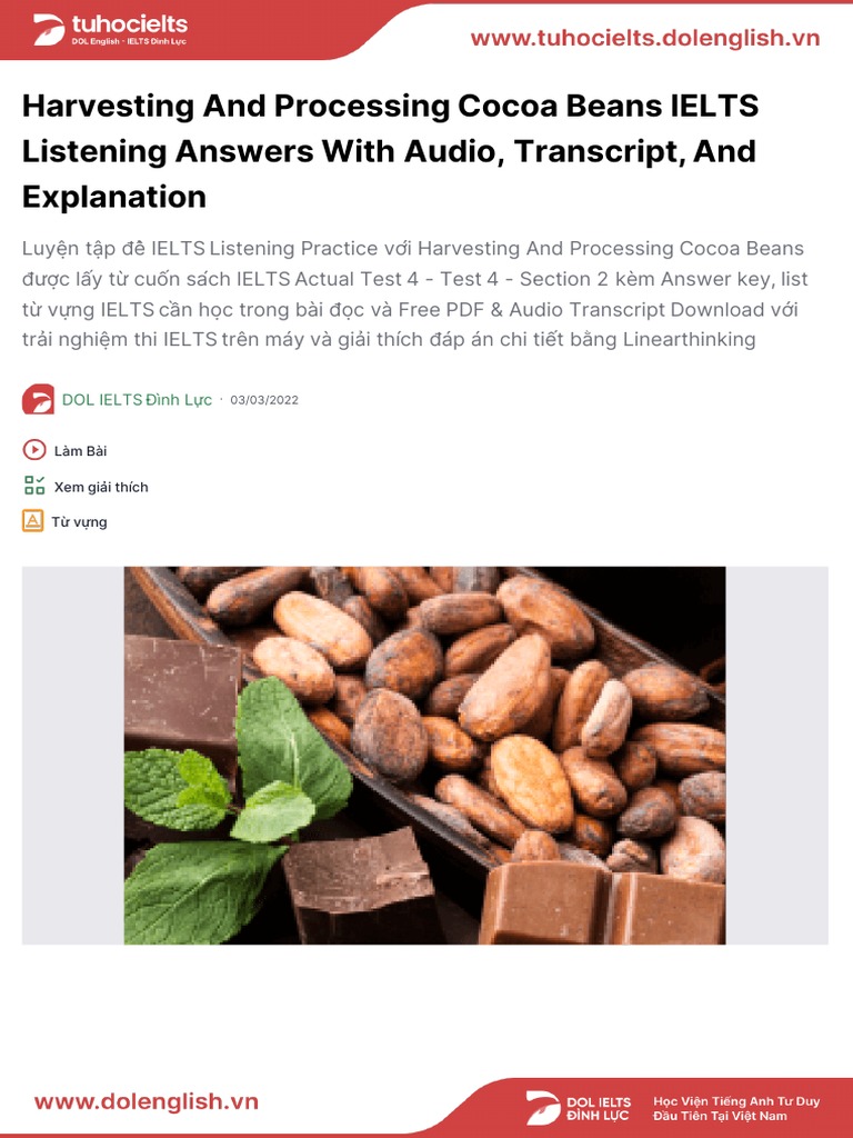 Harvesting and Processing Cocoa Beans IELTS Listening Answers With ...