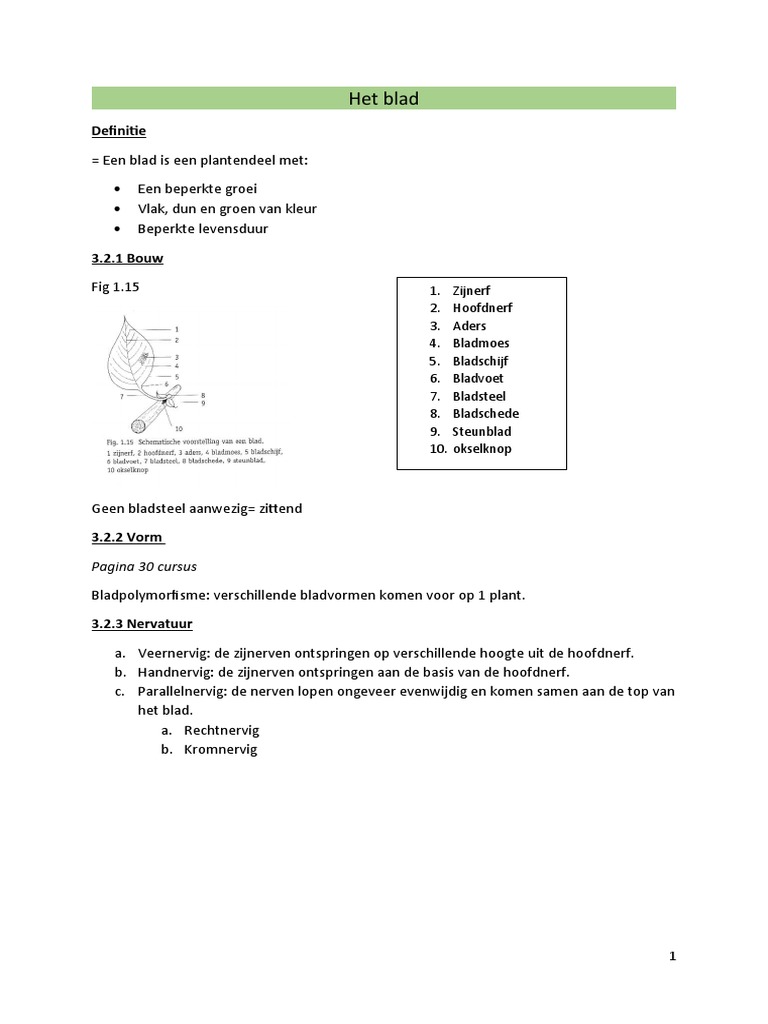 Samenvatting Bio Blad | PDF