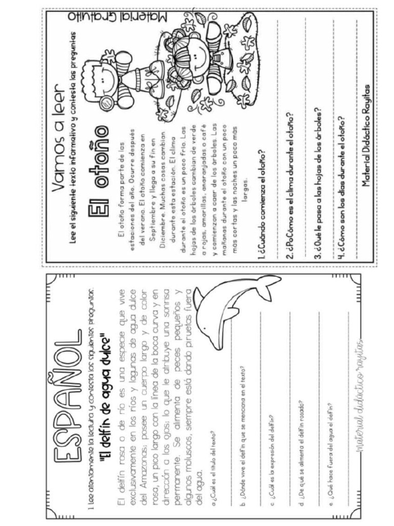 Lecturas Primer Grado de Comprension | PDF