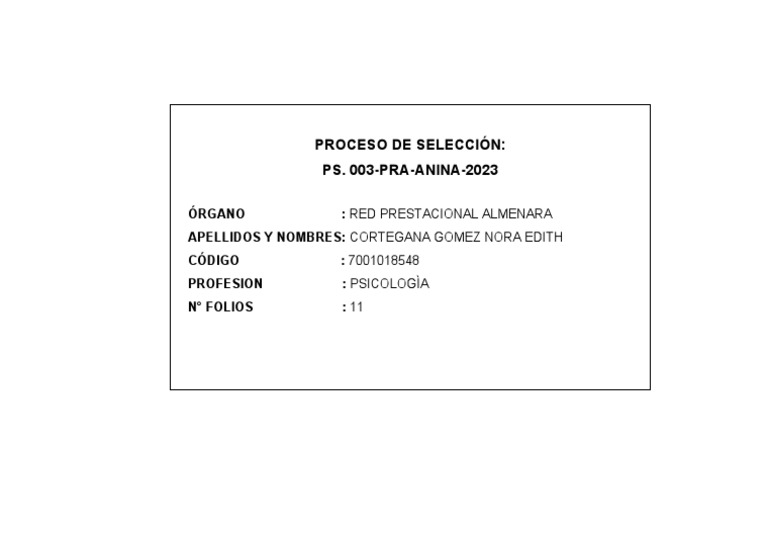 Proceso de Selección: PS. 003-PRA-ANINA-2023 | PDF