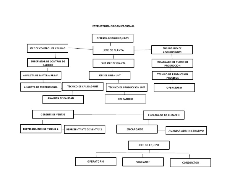 Organigrama SOALPRO | PDF