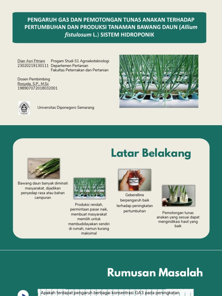 Contoh PPT Sempro | PDF