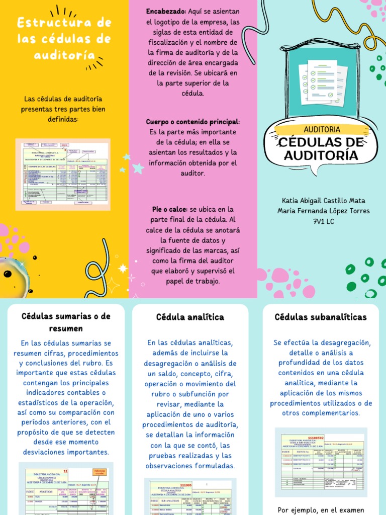 Cédulas de Auditoría | PDF | Auditoría | Business