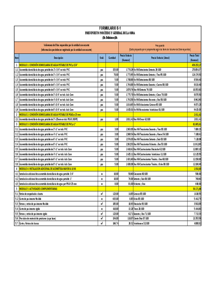 Formulario B-1 | PDF