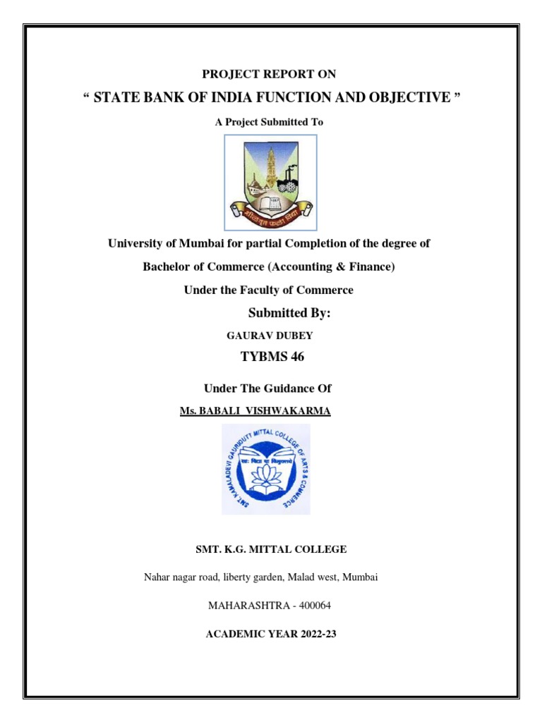 SBI functions and objectives report | PDF