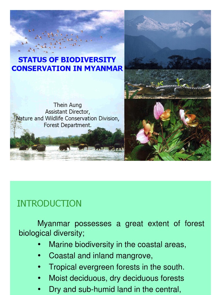 Myanmar Bio | PDF | Wildlife | Biodiversity
