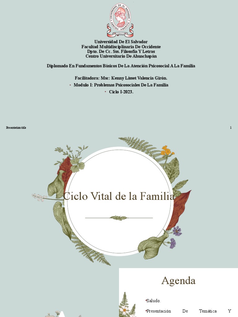 Presentation Title 1 | PDF | Adultos | Familia