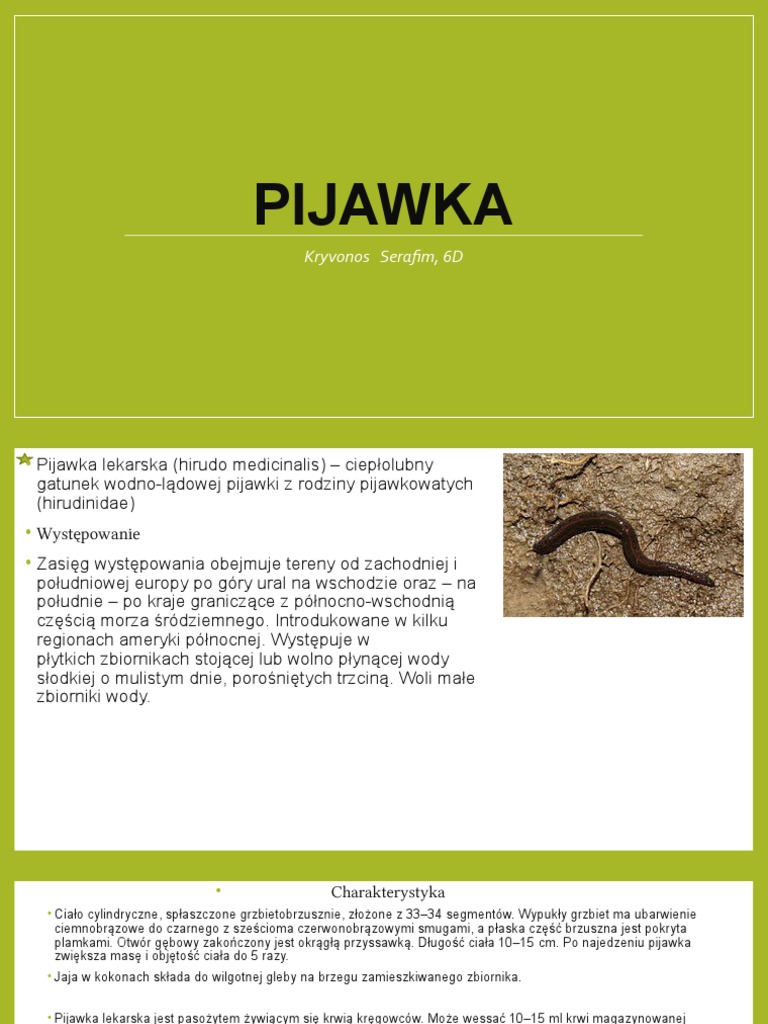 Pijawka | PDF