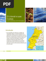 Aspectos da Costa: Tipos e Definições | PDF