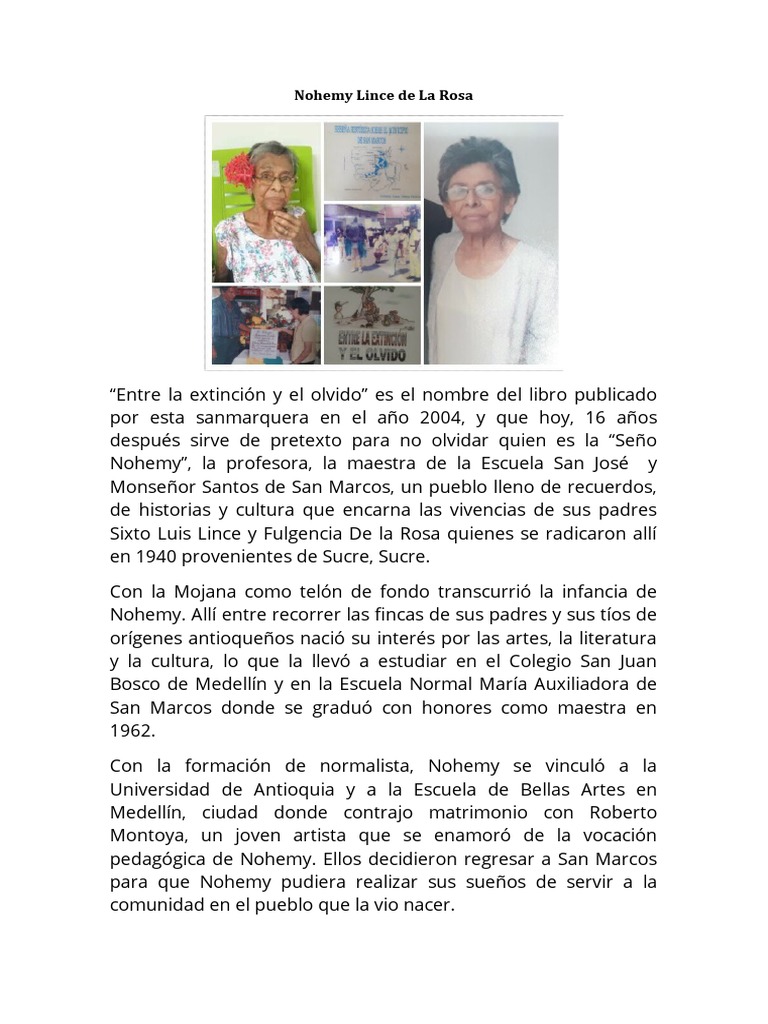 Perfil Nohemy Lince | PDF