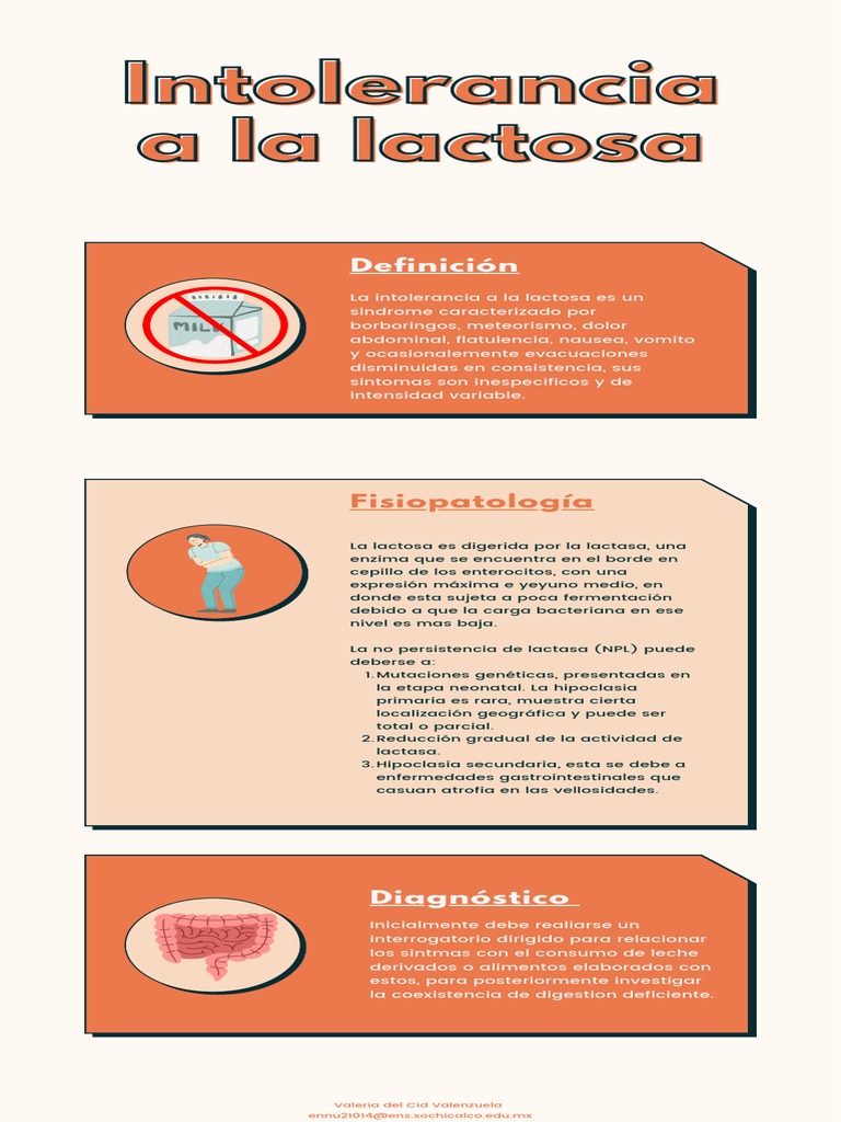 Infografía Intolerancia A La Lactosa | PDF