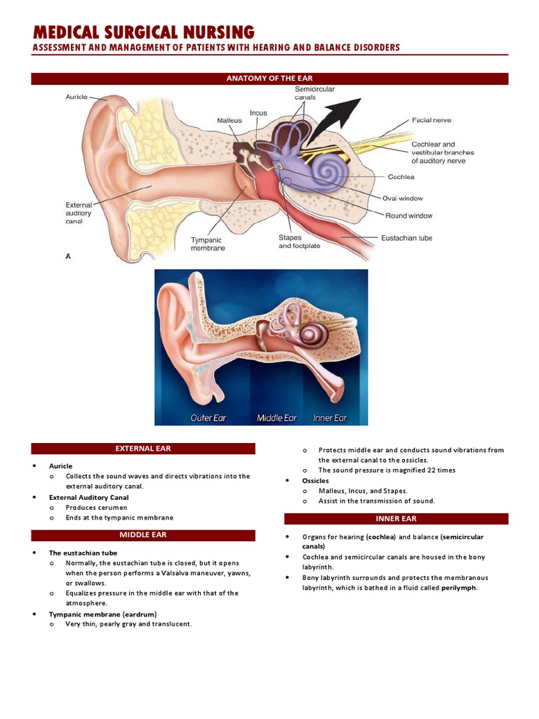 Assessment and Management of Patients with Hearing and Balance ...