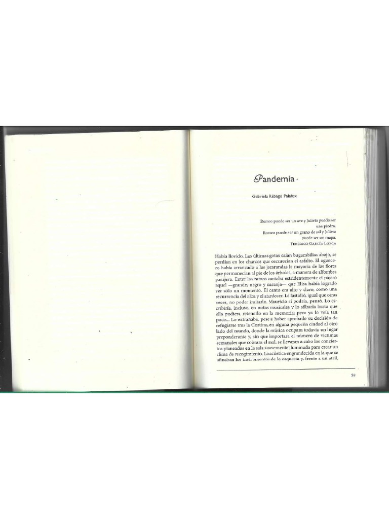 Pandemia Palafox | PDF