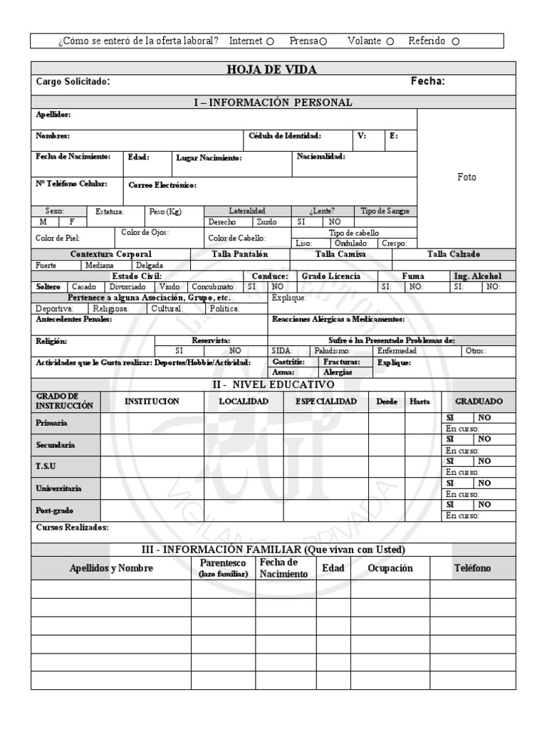 Formato de Hoja de Vida | PDF