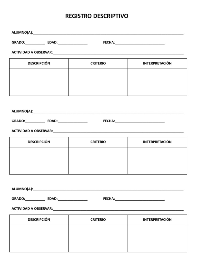 Formato de Registro Descriptivo | PDF