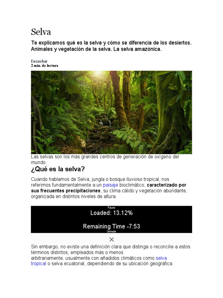 Selva | PDF | Selva | Selva amazónica