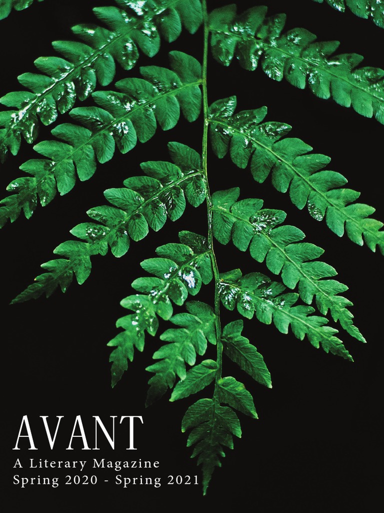 Magazine Avant Tumblr