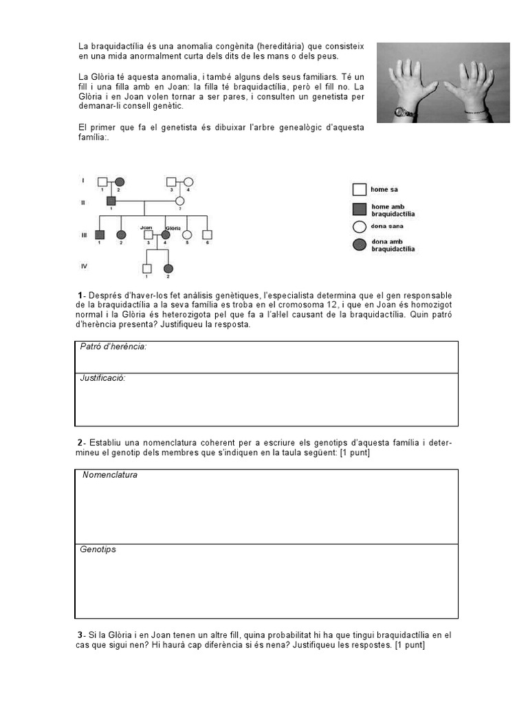 Exercicis Selectivitat - Enunciats | PDF